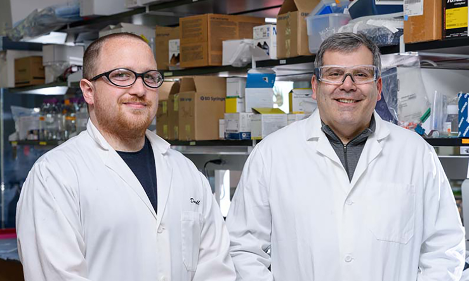 Healing Breath: Researchers Dramatically Improve Inhalable mRNA Therapy ...