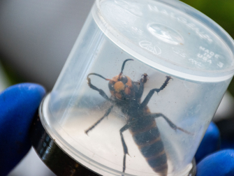 College of Sciences | Georgia Institute of Technology | Atlanta, GA